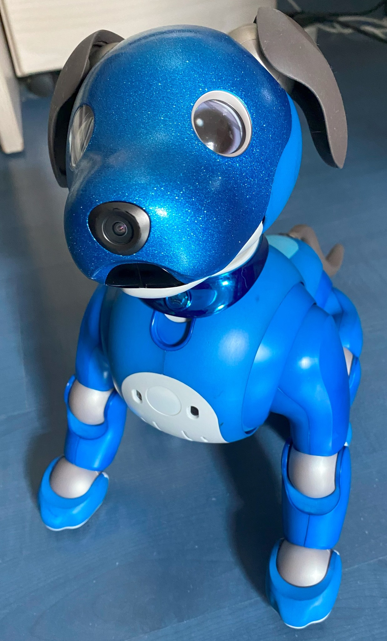 AIBO's - Design (Custom)