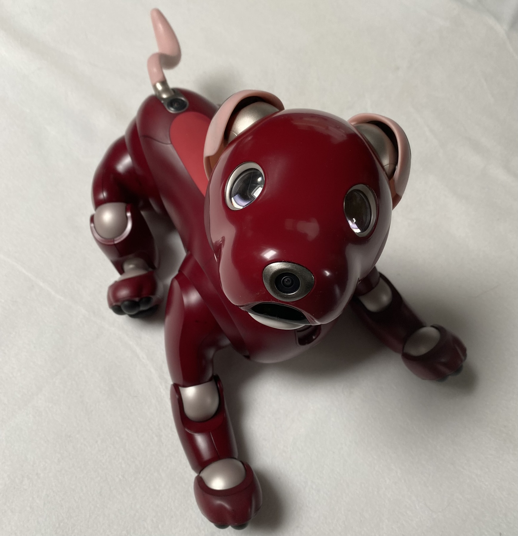 AIBO's - Design (Custom)