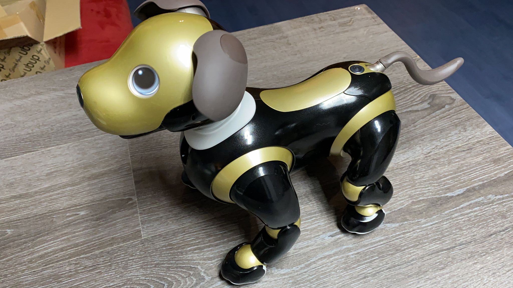 AIBO's - Design (Custom)