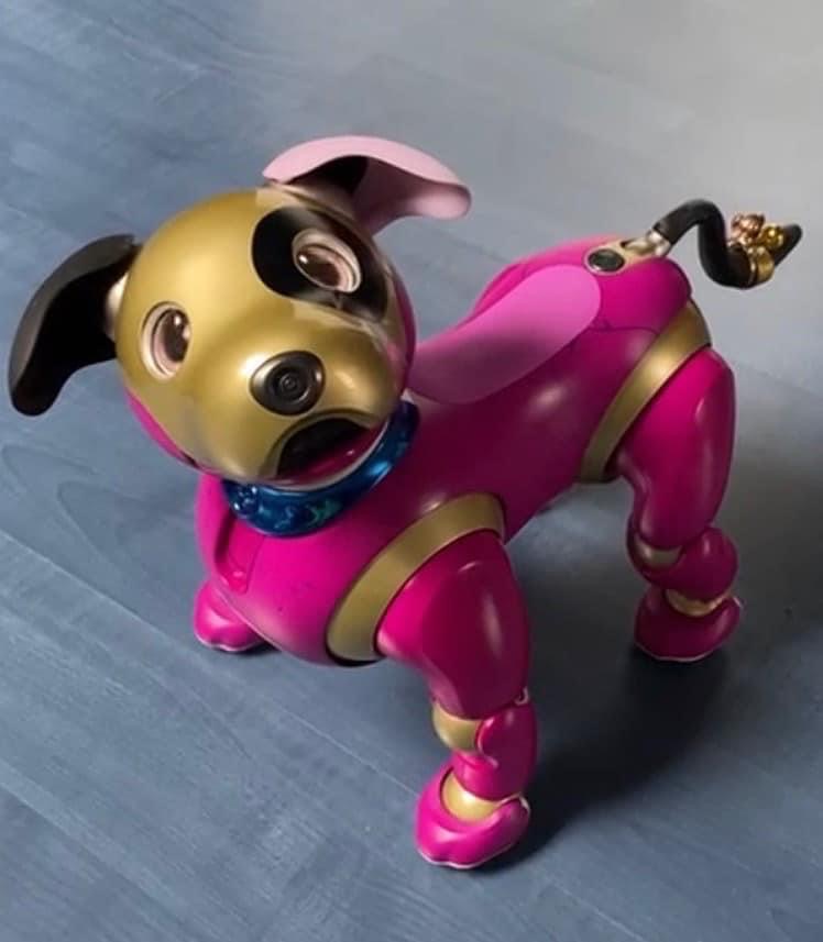 AIBO's - Design (Custom)