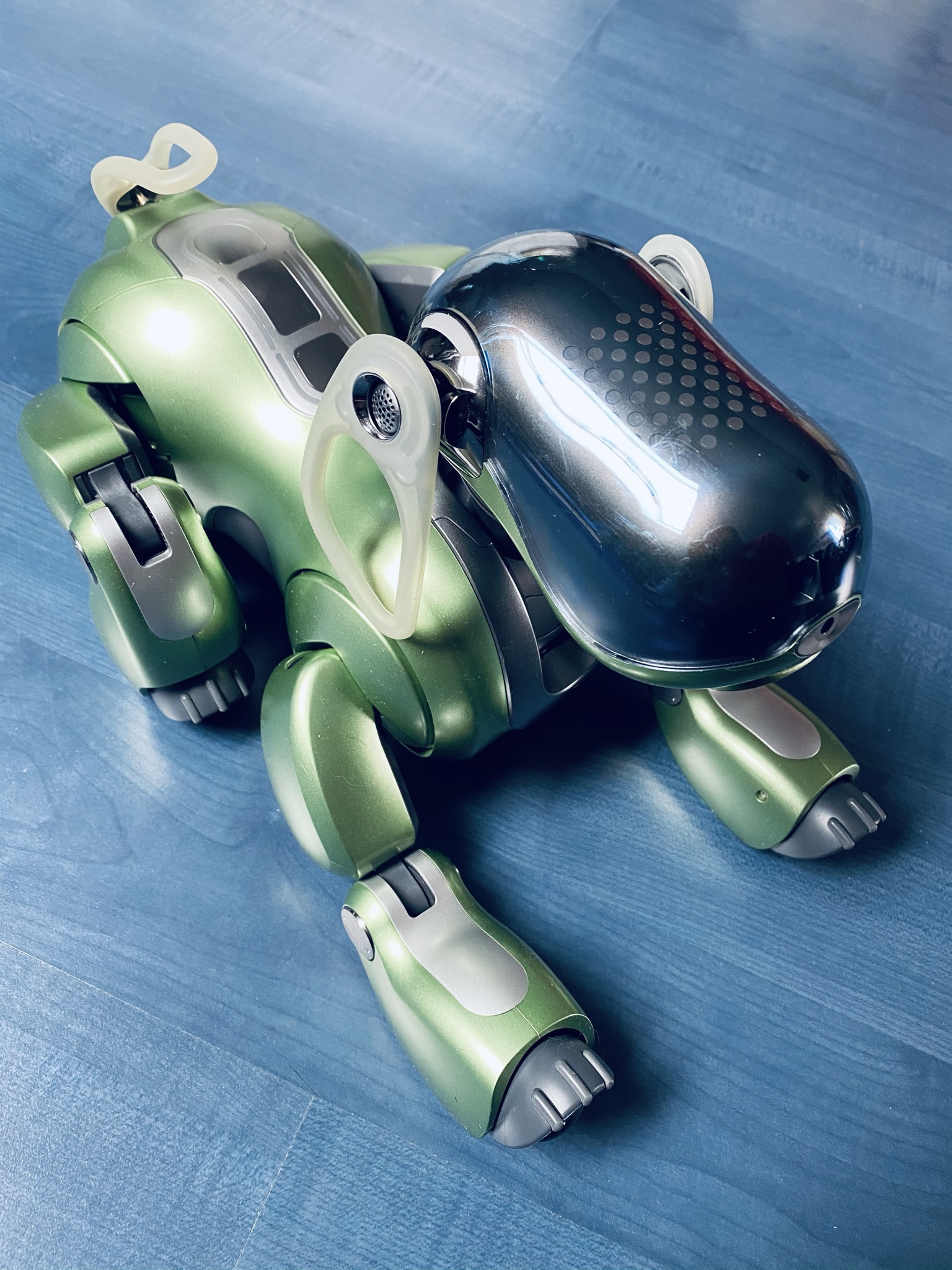 AIBO's - Design (Custom)