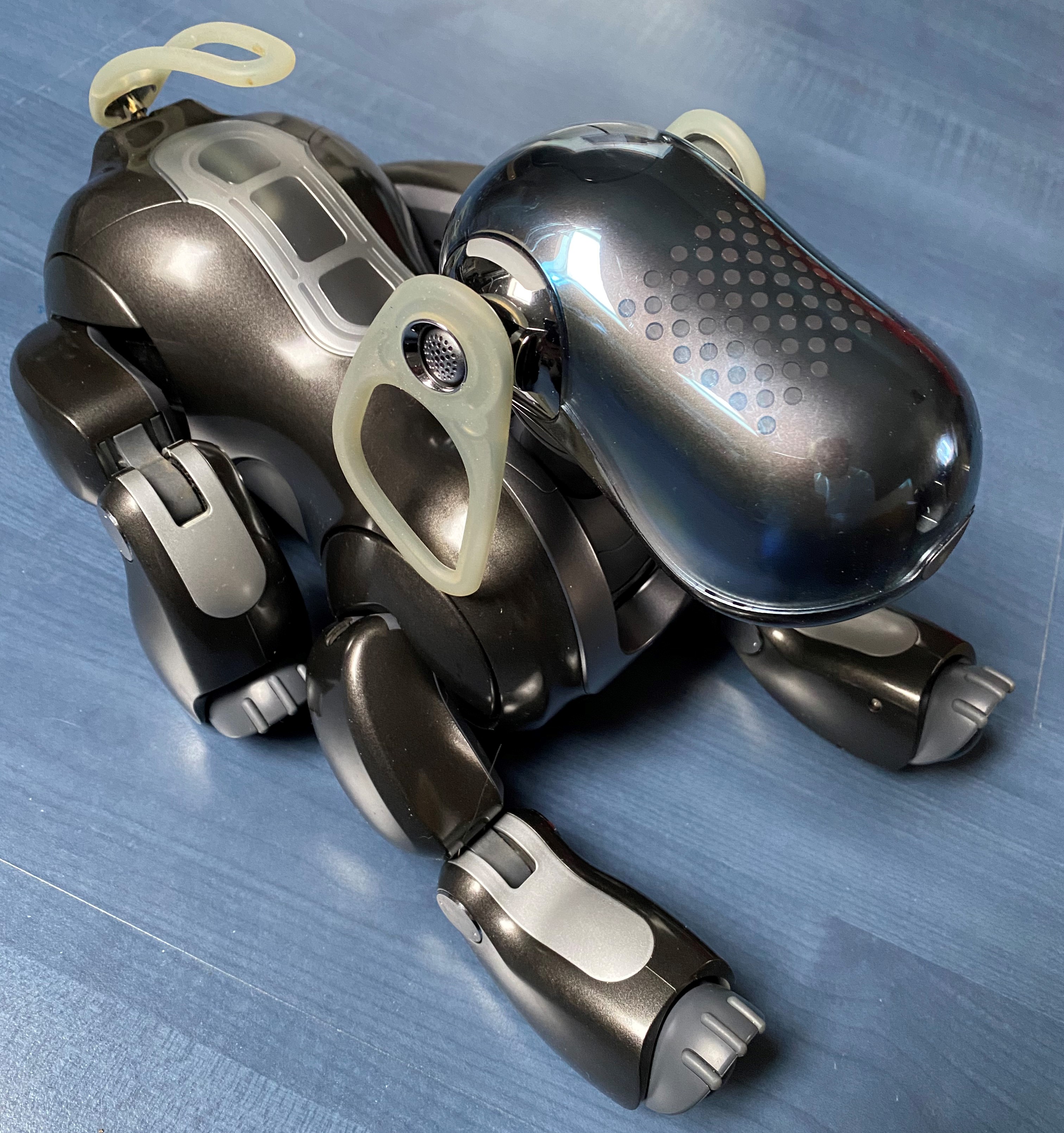 AIBO's - Design (Custom)