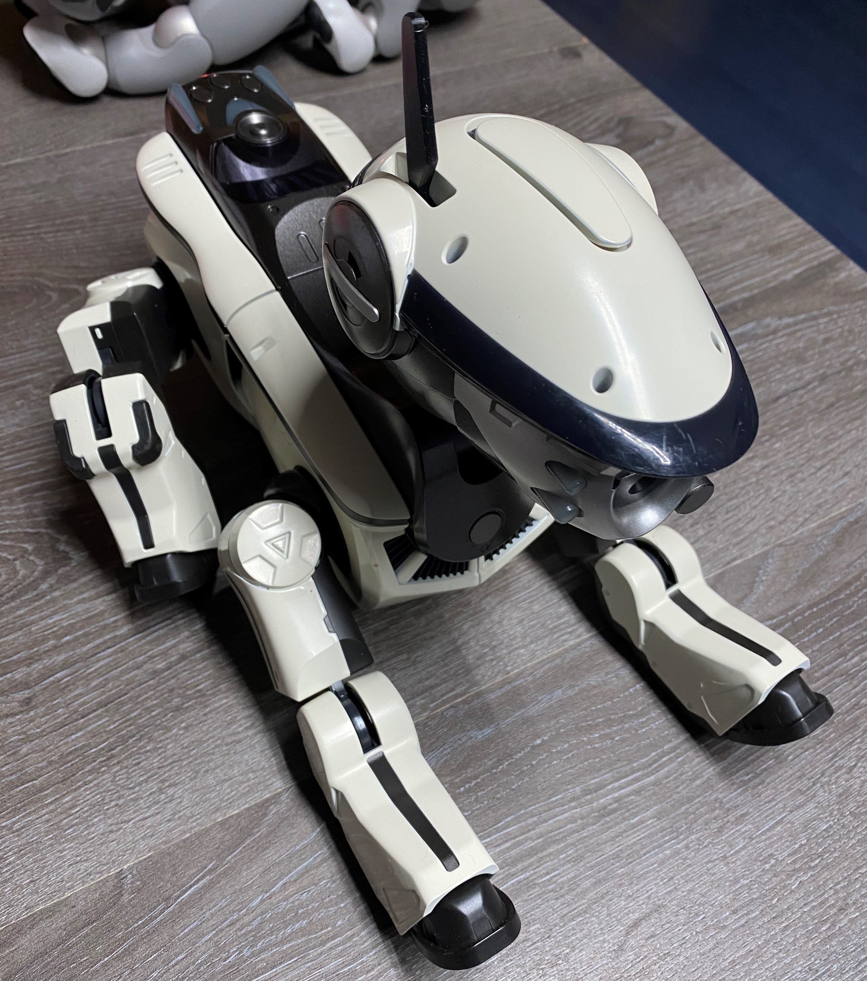 AIBO's - Design (Custom)